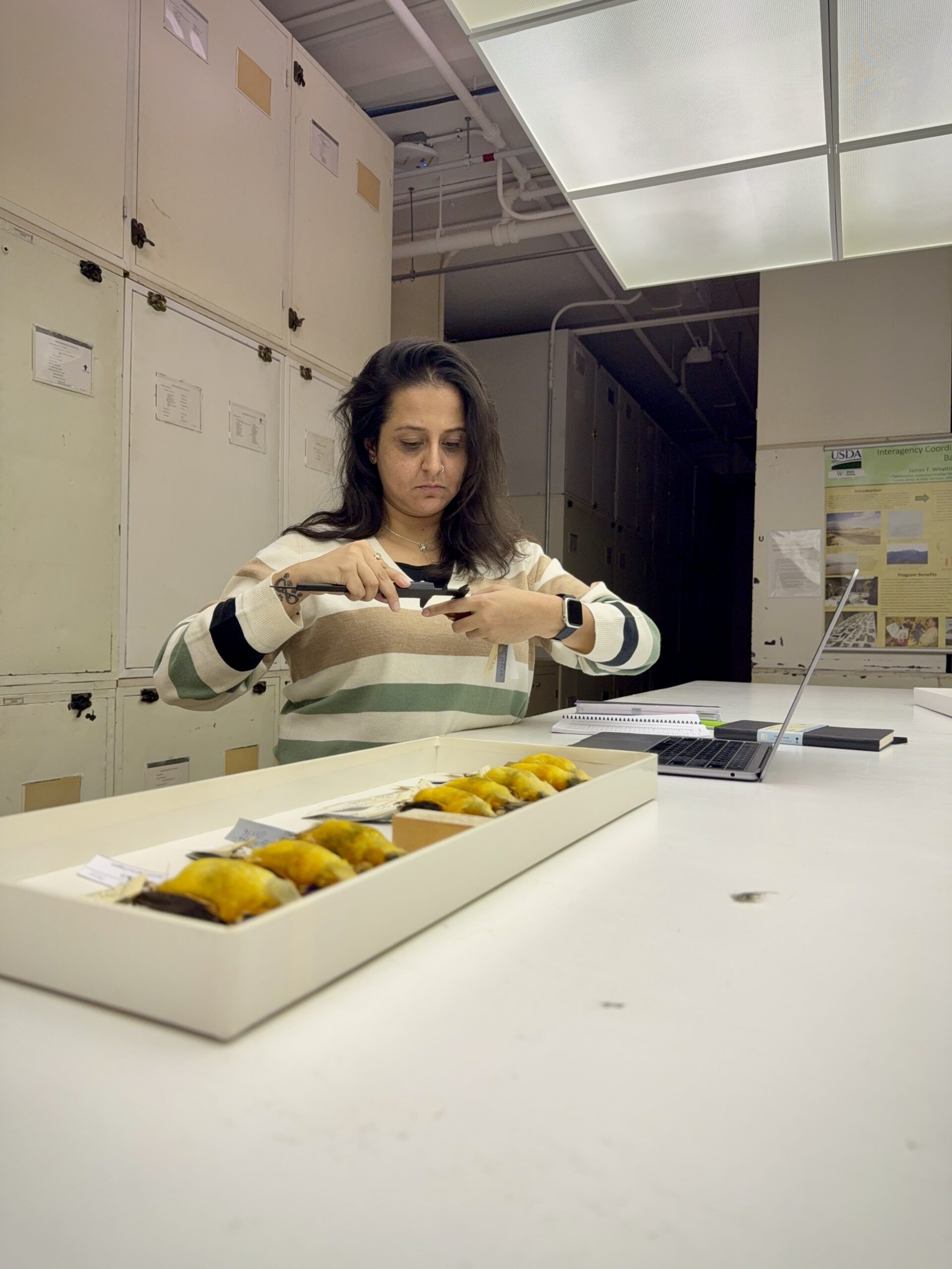 The Team - Feather Library